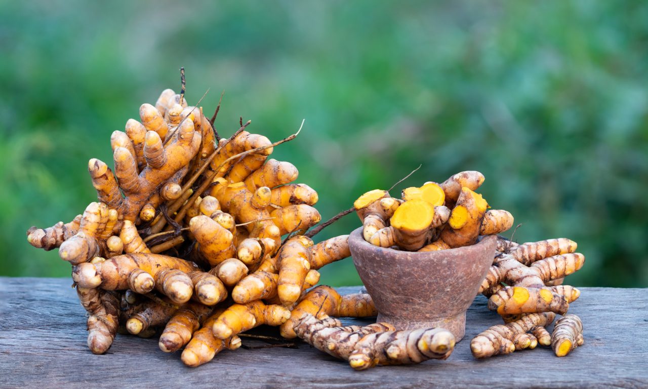 6 Surprising Health Benefits of Turmeric - The Ginger People US