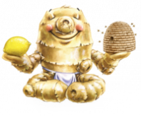 Ginger Soother® Lemon & Honey Gingerade - The Ginger People US